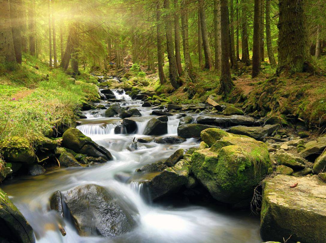 Librarian's Guide to Ebook Collections